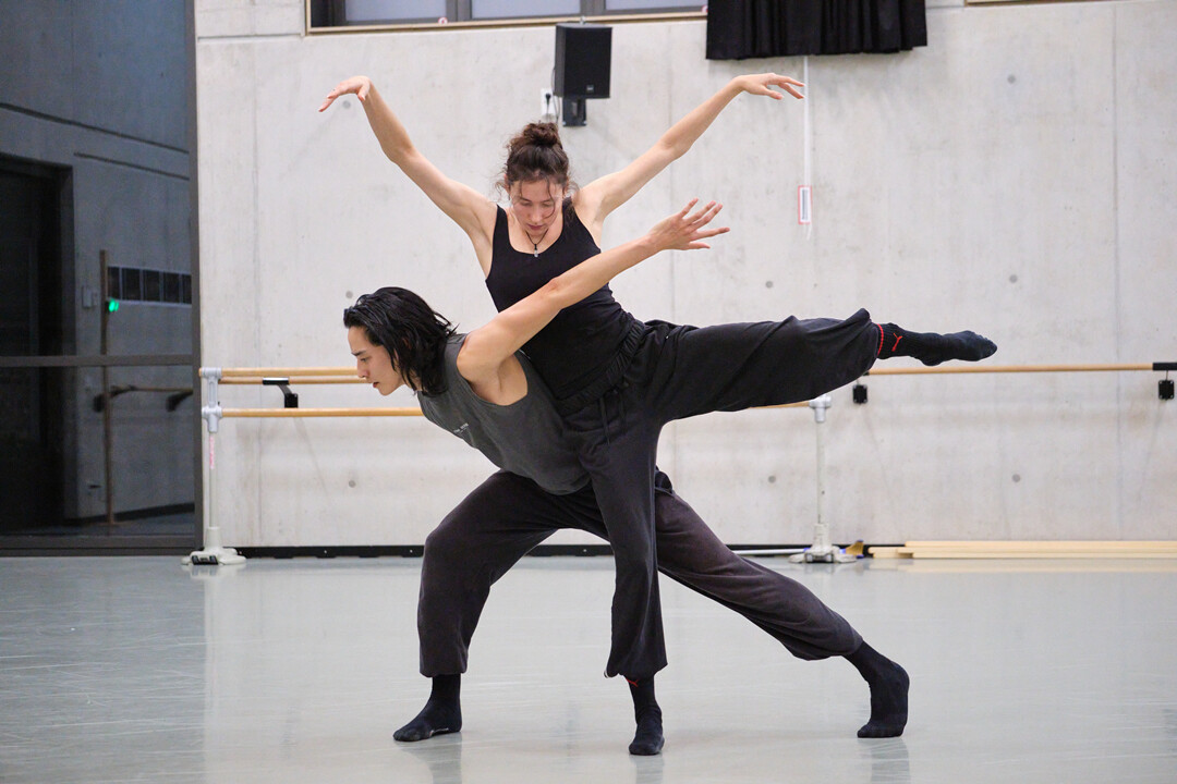 Grey Area | Theater Duisburg
