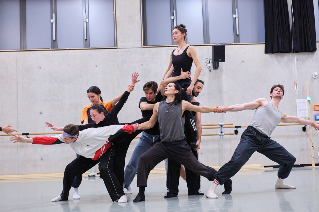 Grey Area | Theater Duisburg