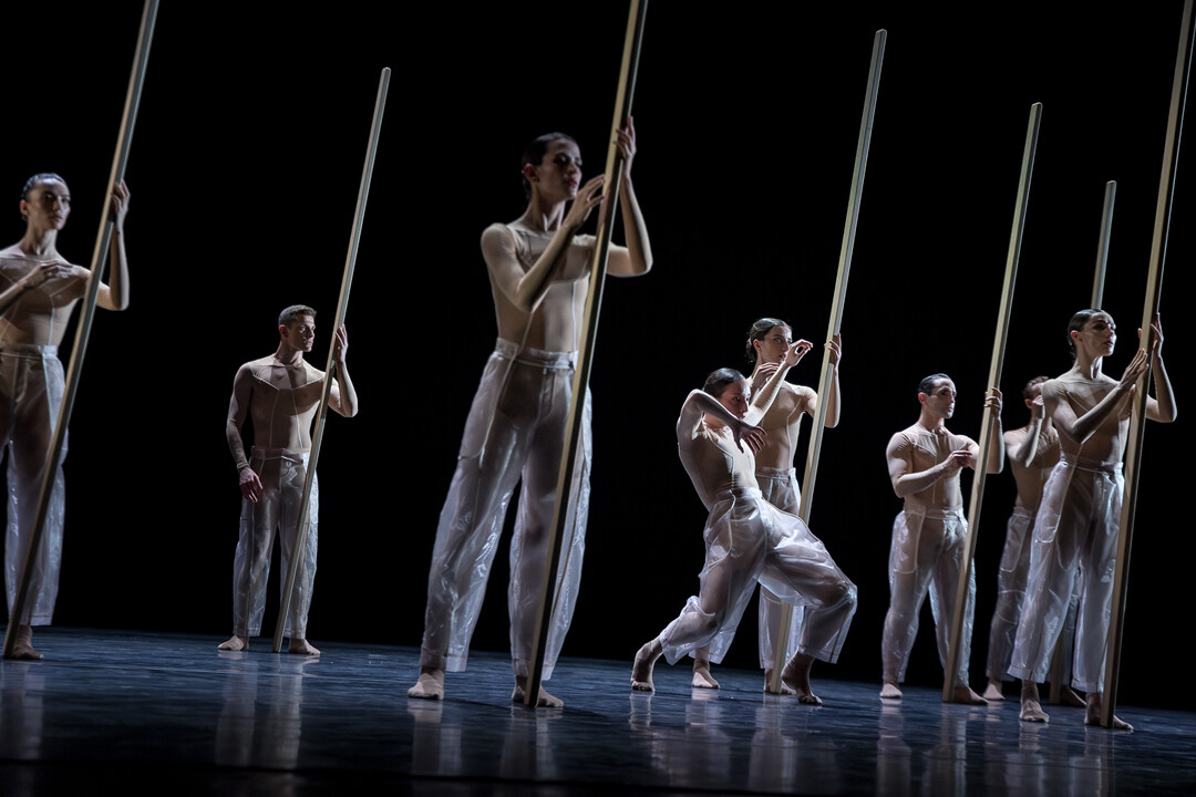 Grey Area | Theater Duisburg